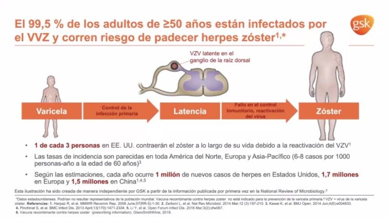 Vacuna Recombinante Contra Herpes Zóster Es Aprobada Por Cofepris Para Hombres Y Mujeres A